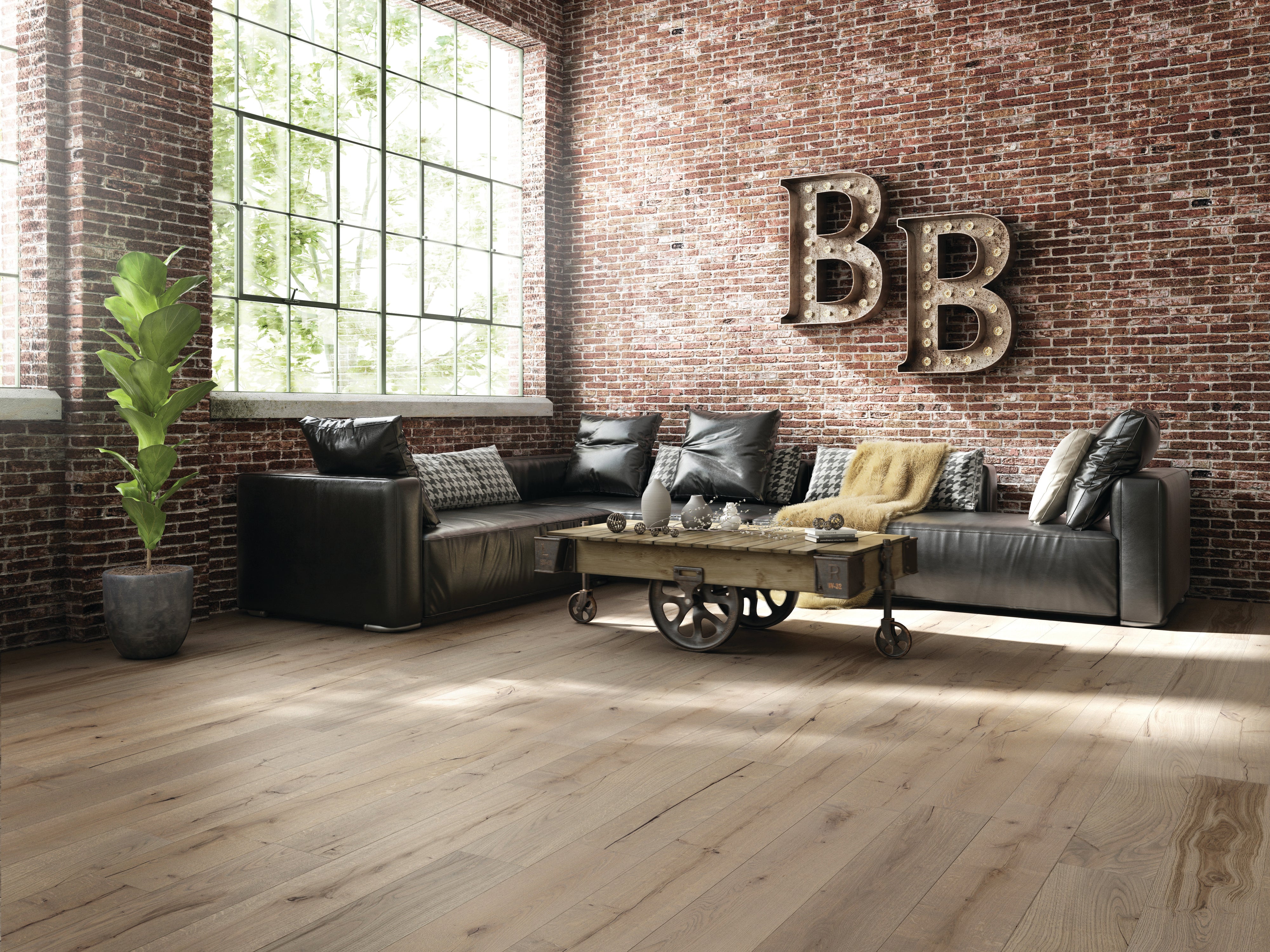 Contact Us | scherba & co.